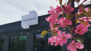 Home - Craft Alliance